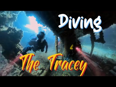 Diving Tracey Wreck 2023