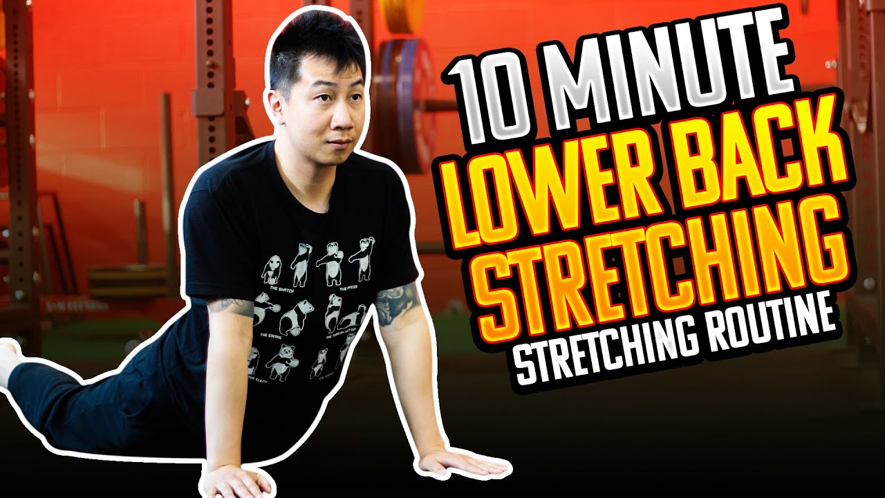 10 Minute LOWER BACK Stretching Routine (FOLLOW ALONG!) - YouTube
