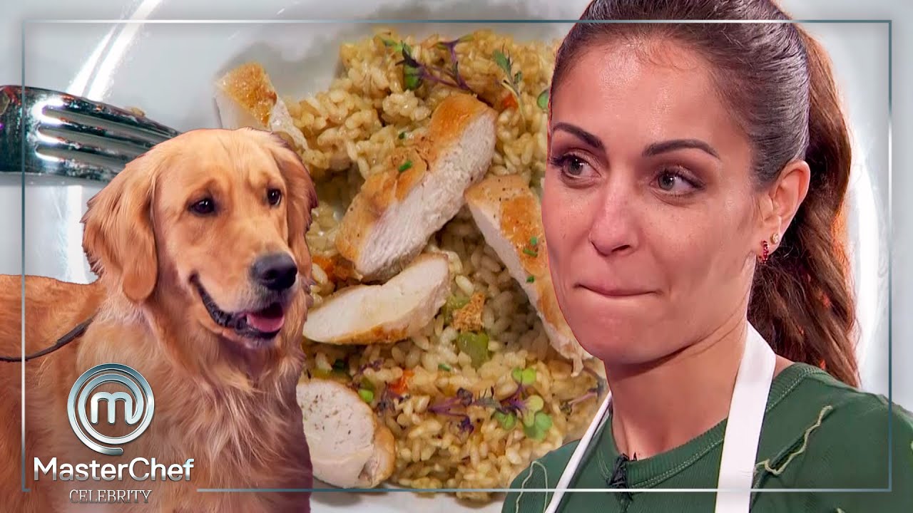 ¿Les gustará a los jueces el plato de Hiba tanto como a Cooper ...