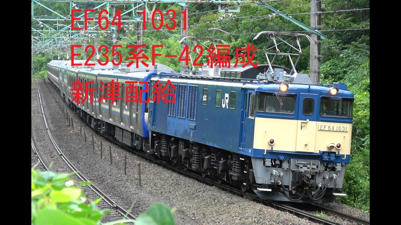 EF64 1031 E235系 F-42編成 新津配給 - YouTube