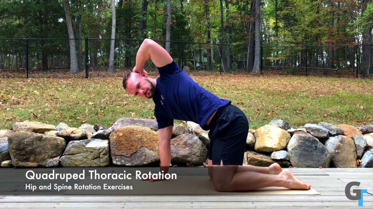 Quadruped Thoracic Rotation - Exercise Demonstration - YouTube