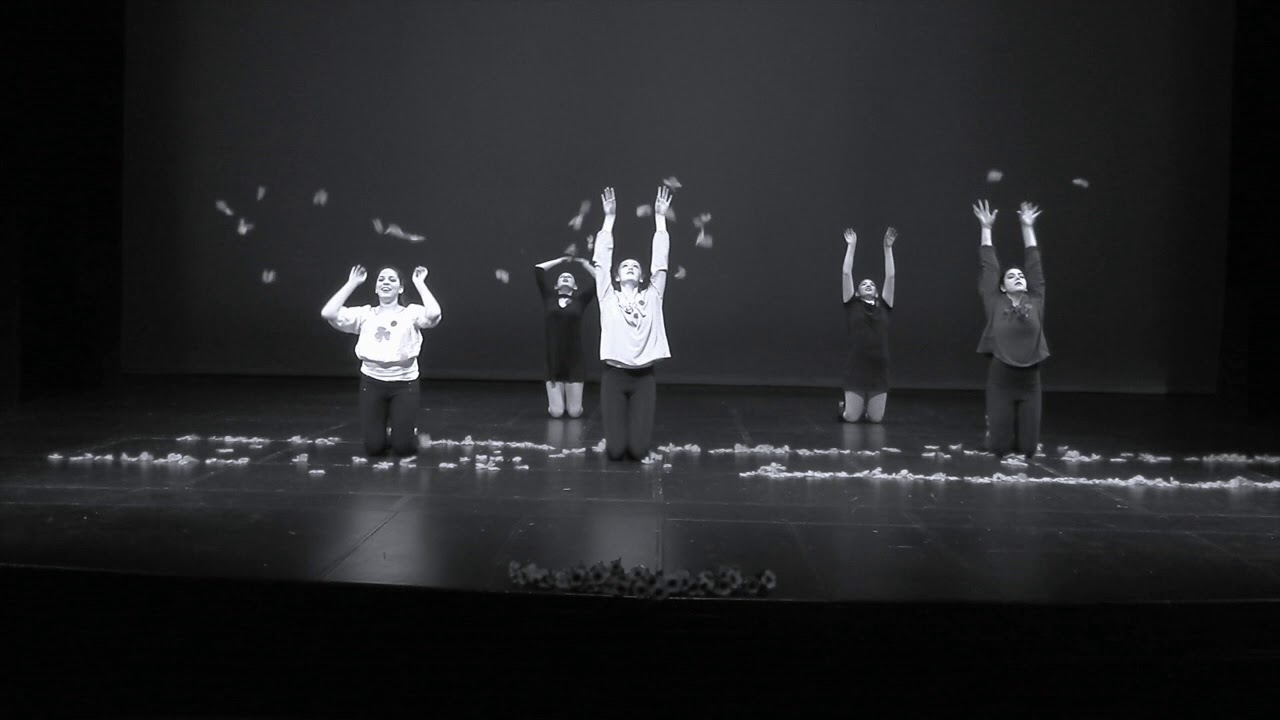 Delta Dance Academy, Remembrance Day Performance 2017 - YouTube
