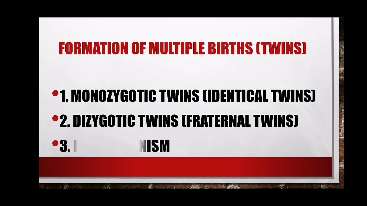 Fertilisation and formation of multiple births (twins) Grade 12 ...