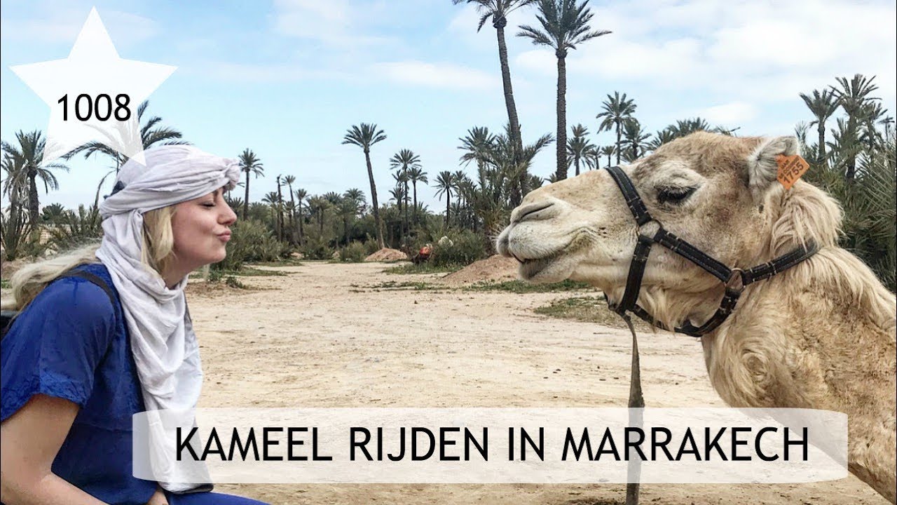 VLOG 1008 | KAMEEL RIJDEN IN MARRAKECH | Sophie Hol | (2018) - YouTube