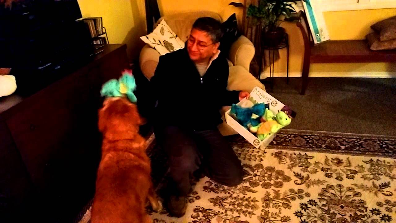 Muffy Receiving Playing With New Dragon Toy 20141128 - YouTube