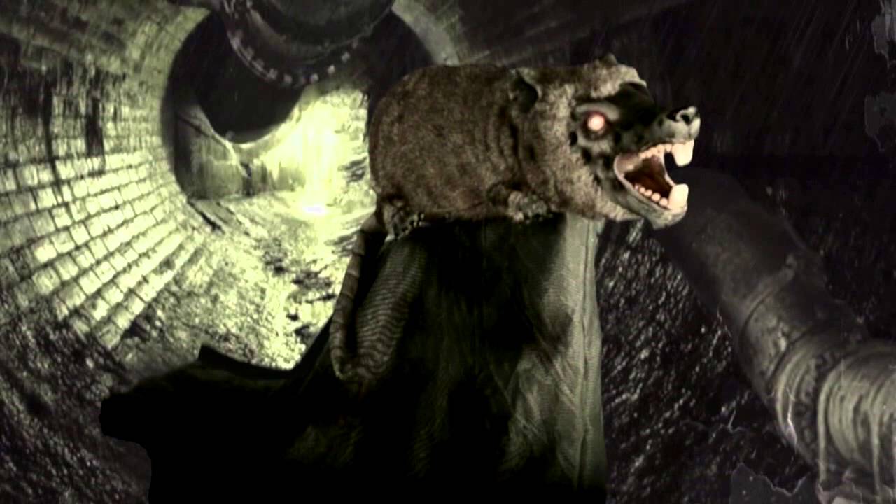 Jumping Critter - YouTube