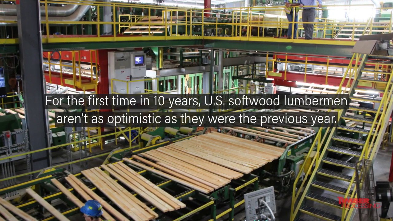 Timber Processing Annual Sawmill Operations & Capital Expenditure ...