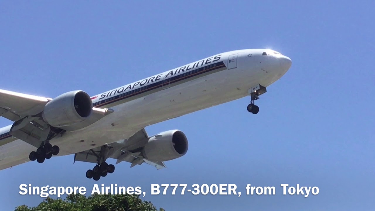 LAX Afternoon Plane Spotting 2018 - YouTube