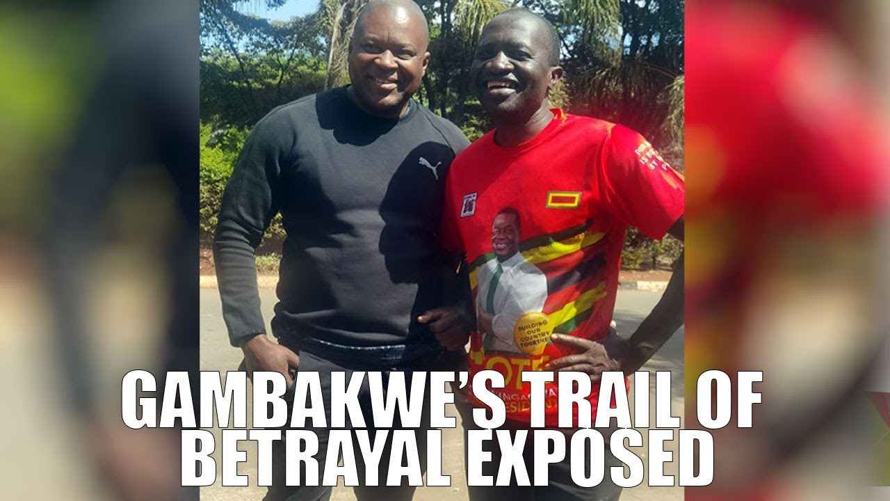 Gambakwe’s Trail of Betrayal Exposed: Names Revealed, Tactics Uncovered ...