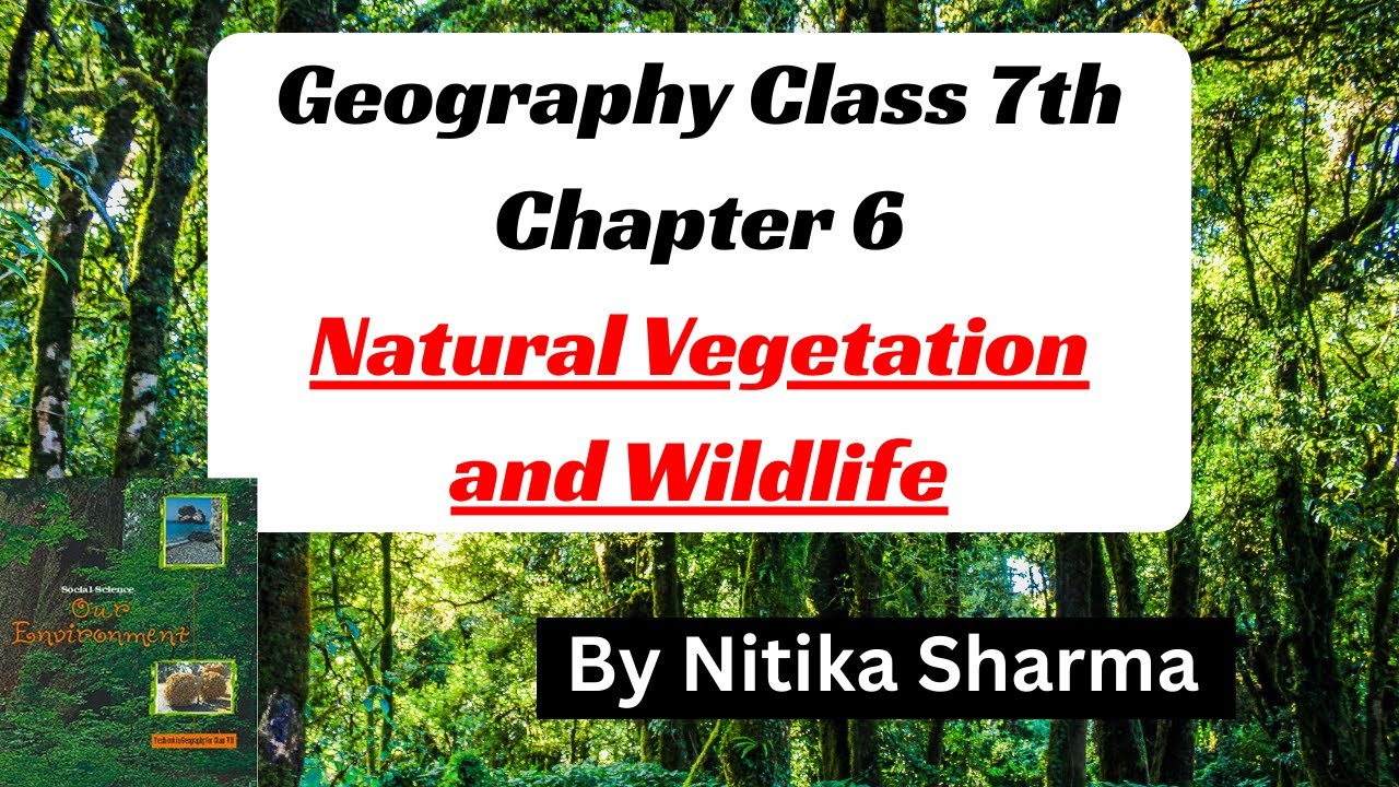 Natural Vegetation and Wildlife Class 7 | Class 7 geography Chapter 6 ...