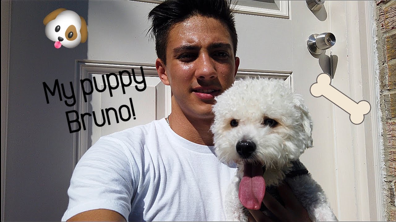 MY CUTE PUPPY BRUNO - YouTube