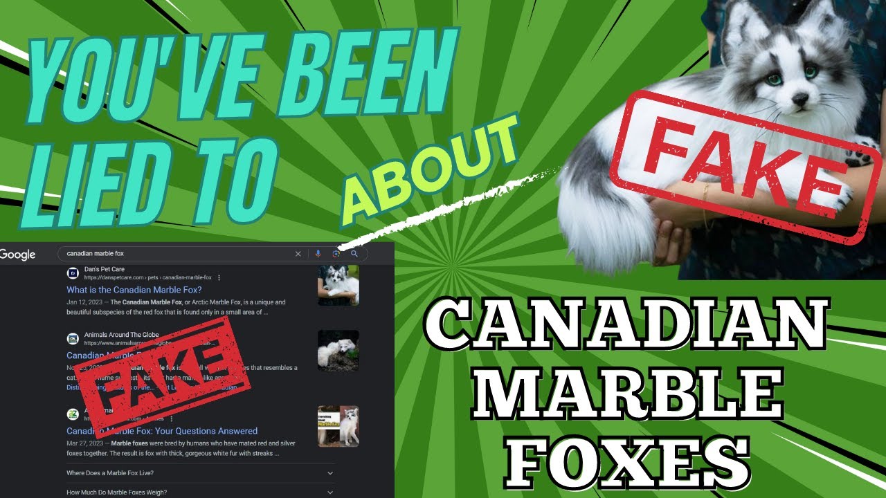 You've been lied to about "Canadian Marble Foxes" - YouTube