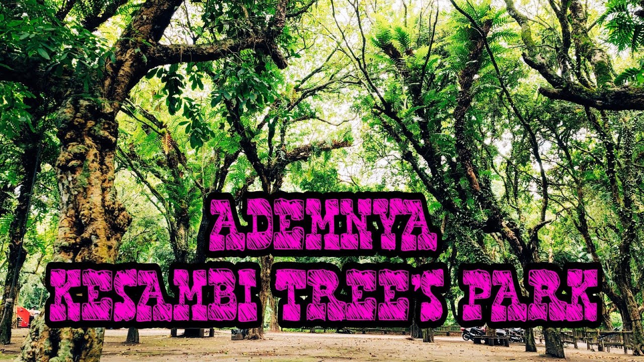 HEALING KE KESAMBI TREES PARK BIKIN ATI ADEM - YouTube