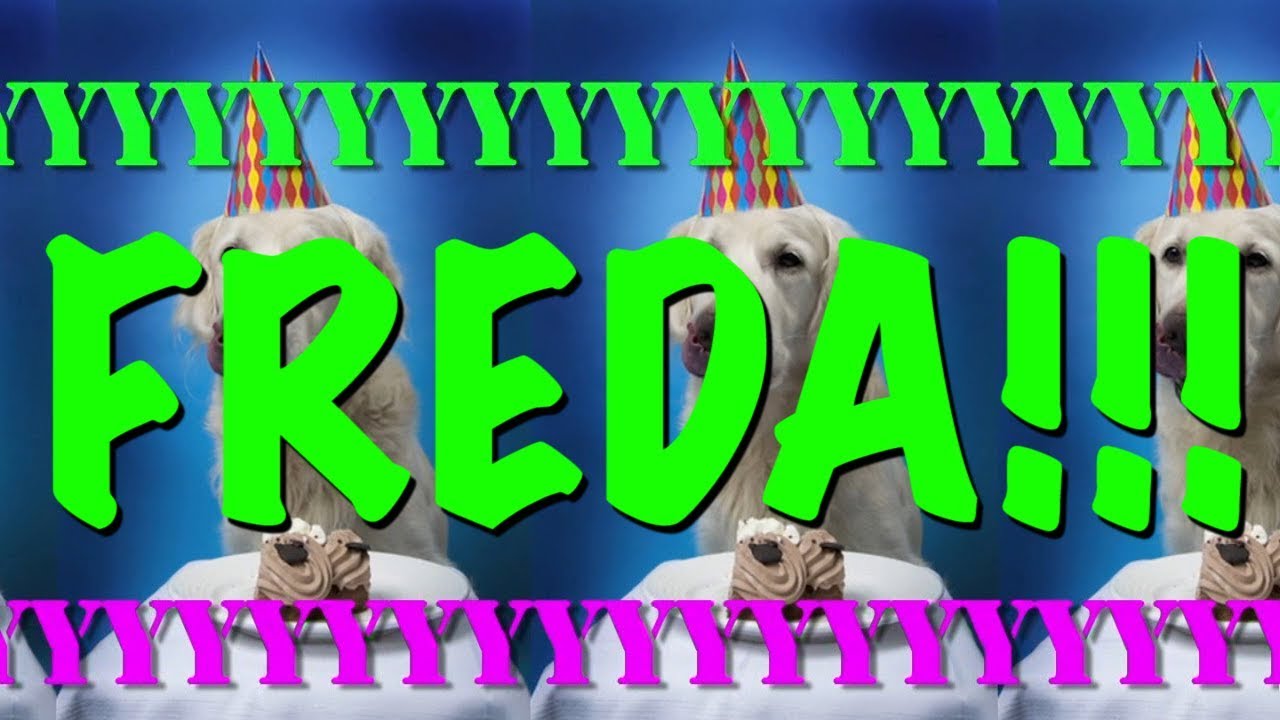 HAPPY BIRTHDAY FREDA! - EPIC Happy Birthday Song - YouTube