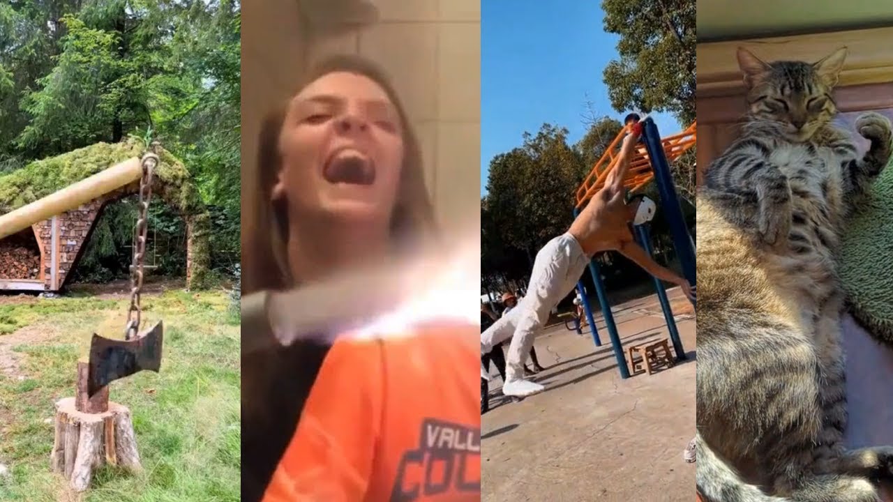 THE MOST UPVOTED VIDEOS FROM REDDIT V18 - YouTube