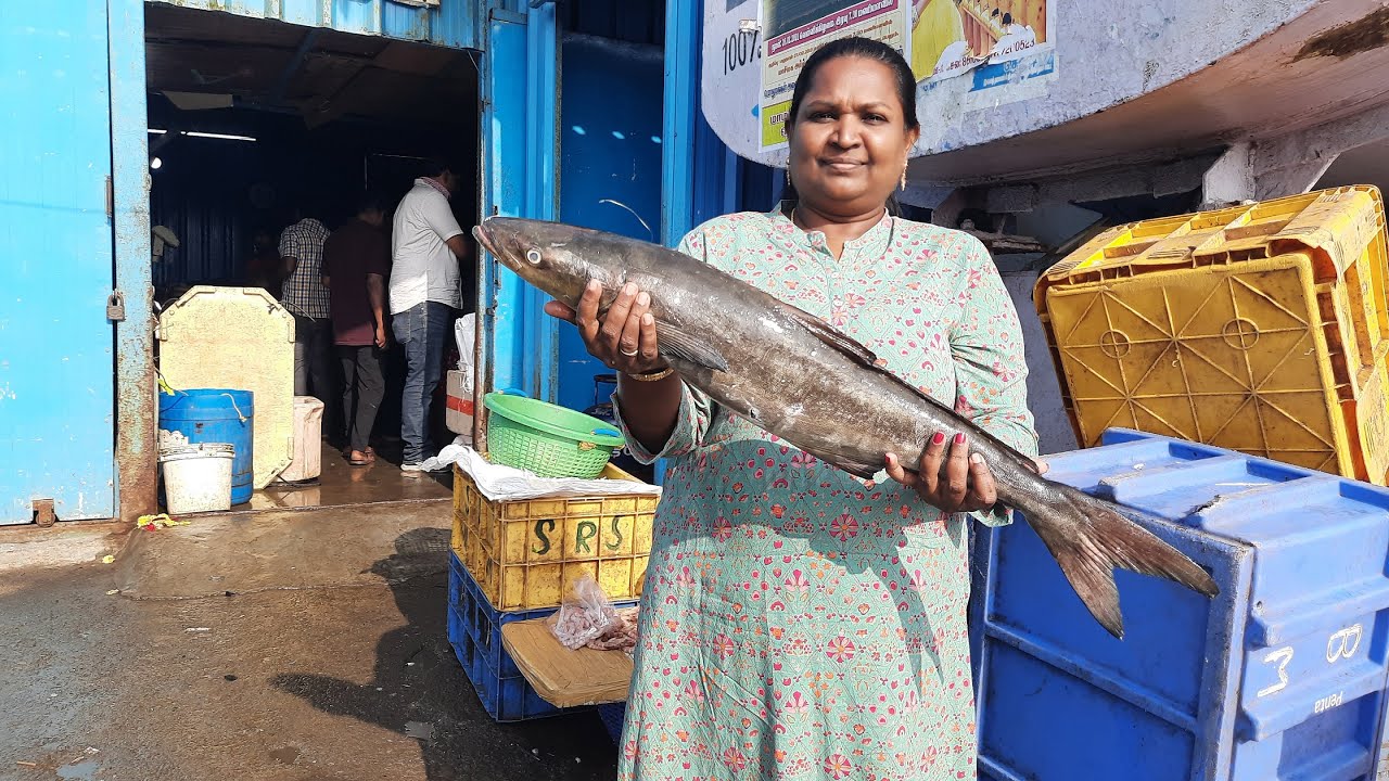 Seer Fish head Cutting|| Cobia Fish head Cutting|| வஞ்சிரம் மீனுக்கு ...