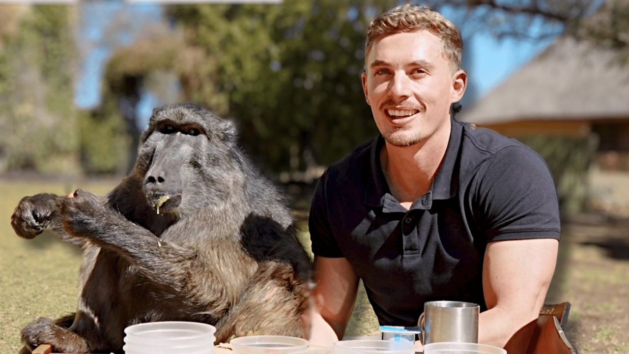 A Baboon Who Eats Human Food - YouTube