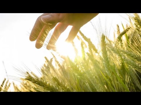 O LORD, I pray, send now prosperity (Psalms‬ ‭118:25‬) - Thought for ...