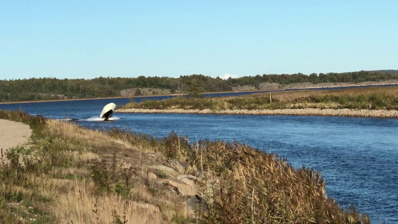 Wesling 16 open - YouTube