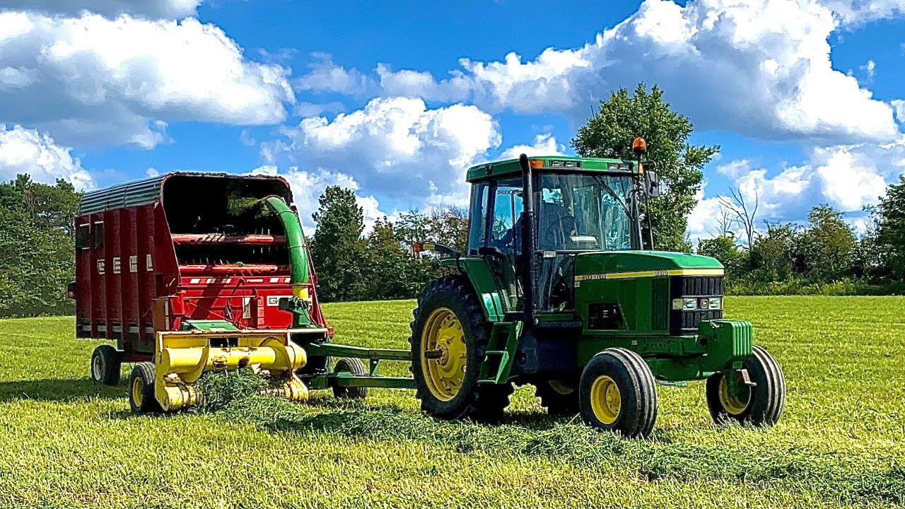 Chopping Beautiful Late Season Hay - YouTube