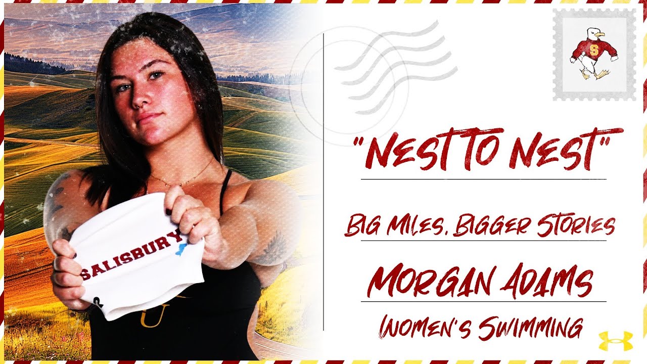 Nest to Nest | Morgan Adams, Women's Swimming - YouTube