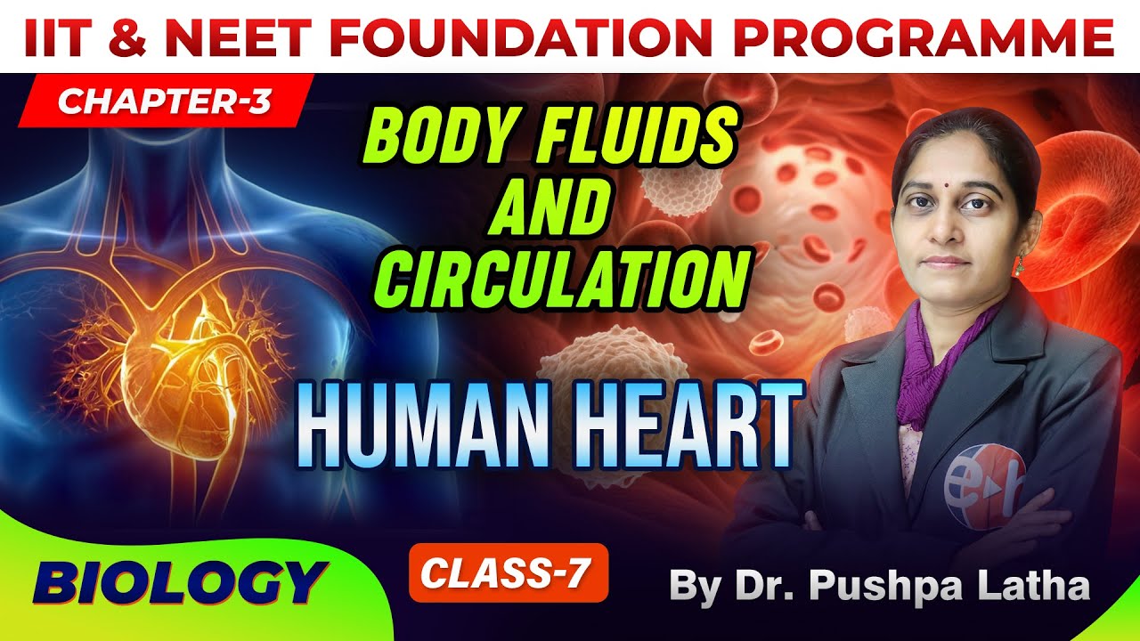 11. Structure of Heart & SI-5 | Body Fluids And Circulation | Class-7 ...