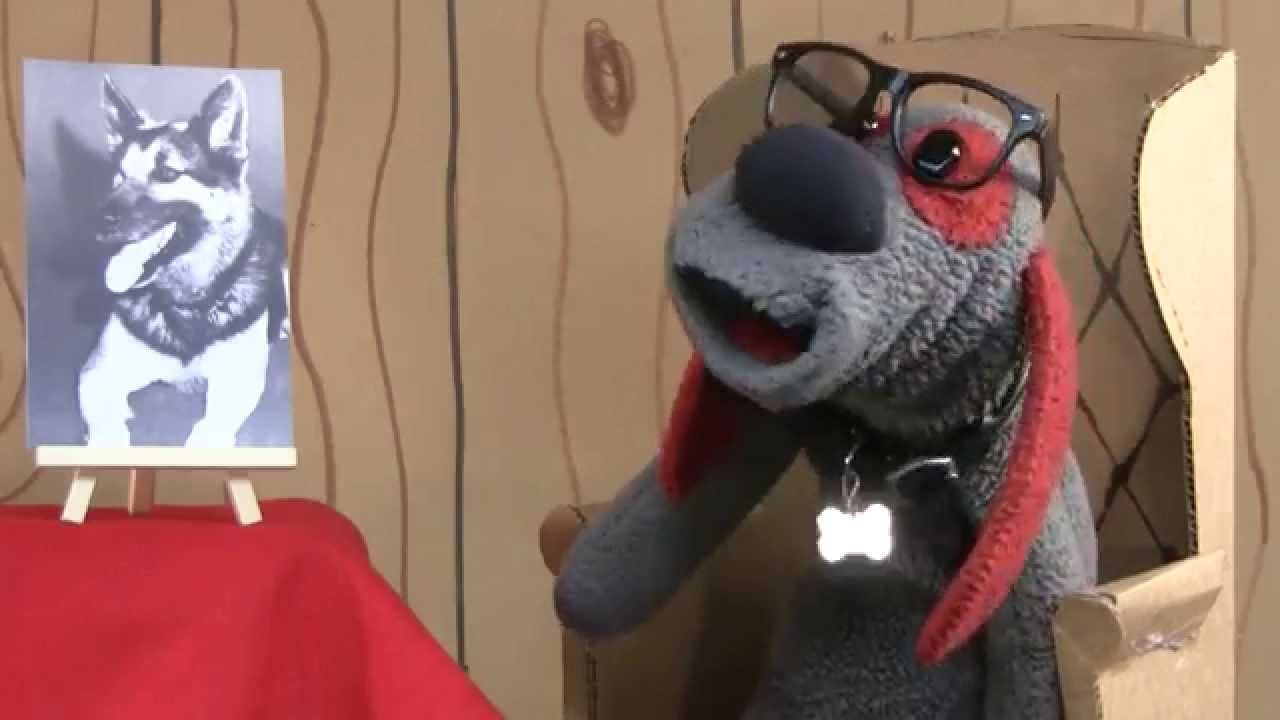 Famous Dogs of History #103 - Nemo - YouTube