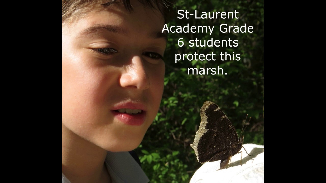 Macoun Marsh Project - YouTube