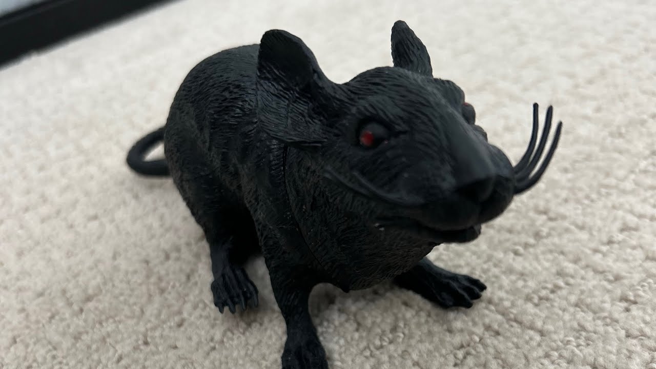The Techno Rat (remix) - YouTube