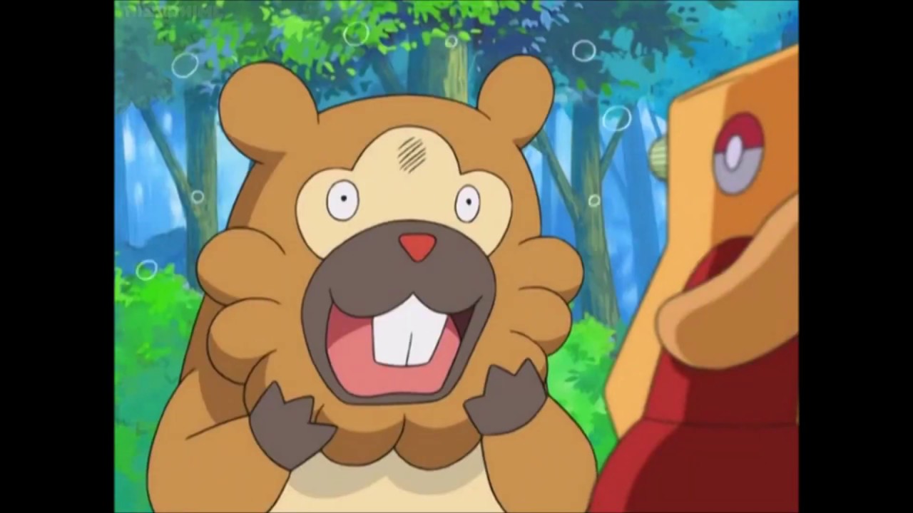 Bidoof Crying - YouTube