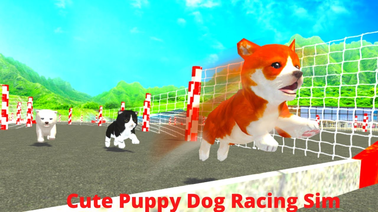 Cute Puppy Dog Racing Sim - KidRoider Android - Android GamePlay FullHD ...