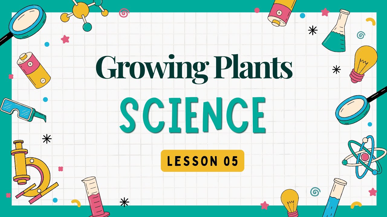 Cambridge Grade 1 Science Lesson 05 | Growing Plants | Study Bee - YouTube