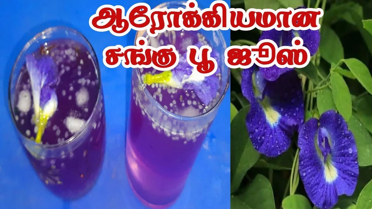 Blue juice in tamil/சங்கு பூ ஜுஸ்// How to make sangu poo juice @Hanna ...
