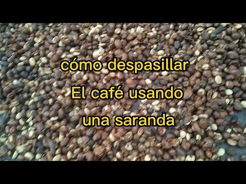 cómo zarandear el café o despacillar utilizando una zaranda metálica ...