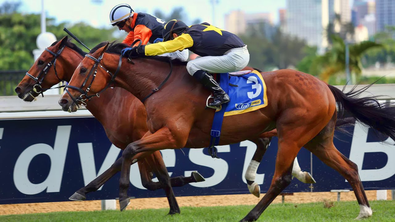 Double Clutch - umThombothi Stakes (2015) - YouTube