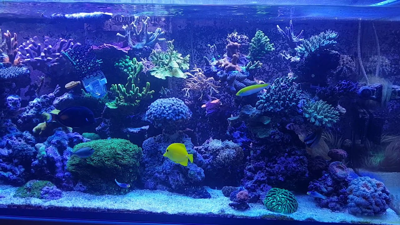 New ATI Hybrid dawn mode. - YouTube