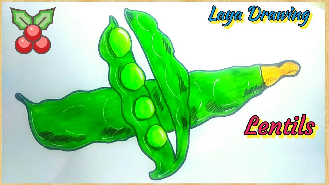 how to draw lentils - dibujar lentejas - Lentilles - YouTube