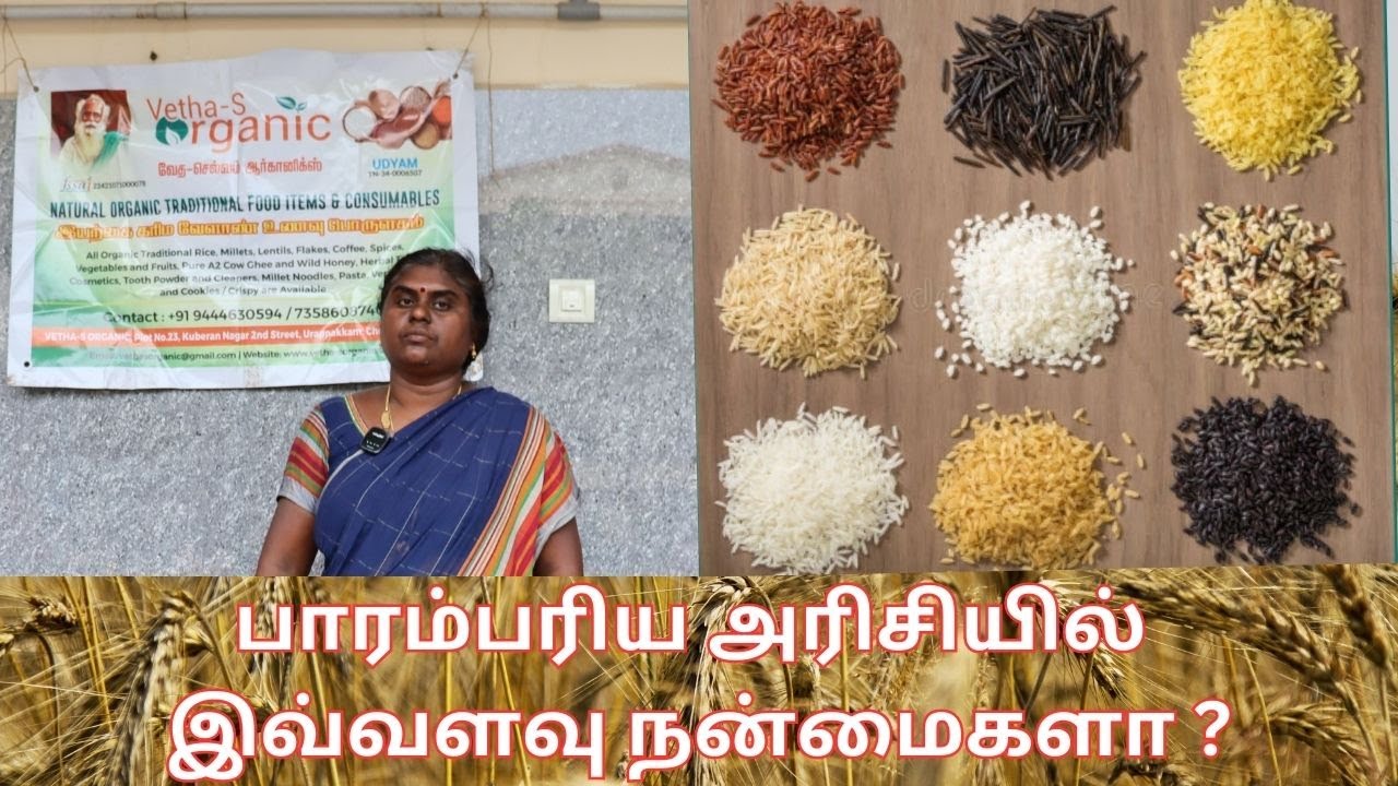 100பாரம்பரிய_அரிசி_வகைகள்|contact9444630594|நோய்_அண்டாது|parambariya ...