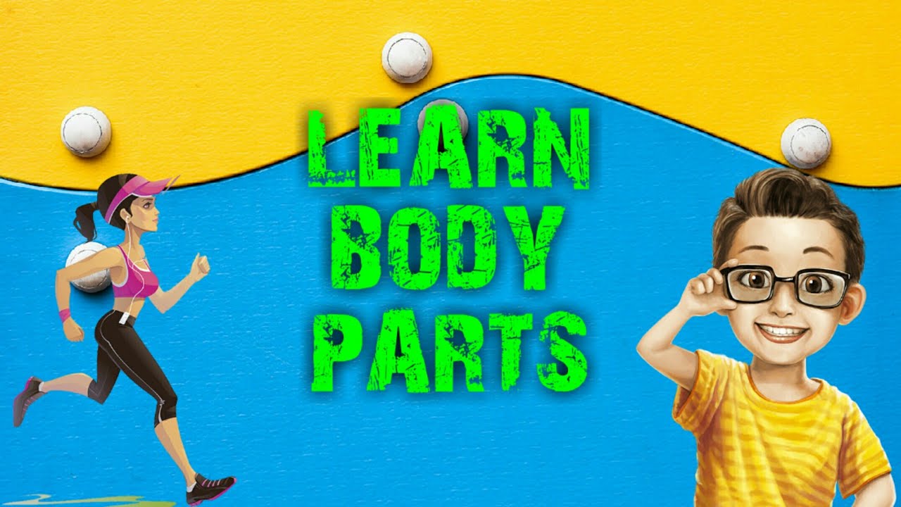 learn parts of body for kids|educational video for kids - YouTube