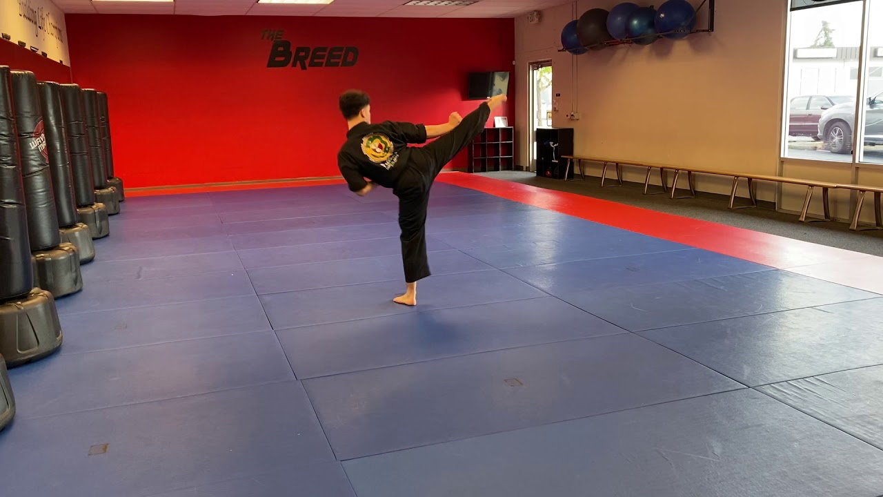 Kicking Combinations - YouTube