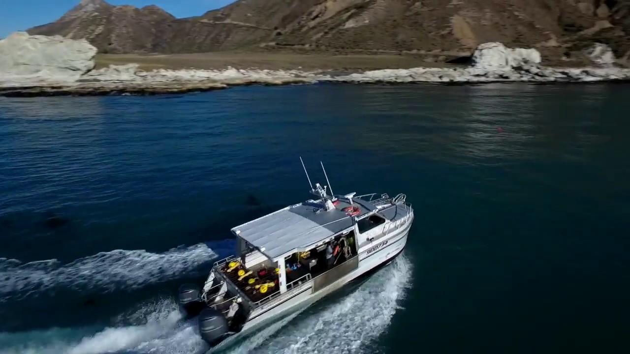 Cray fishing Kaikoura New Zealand - YouTube