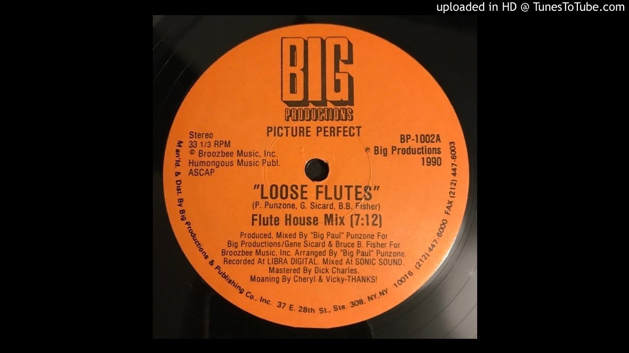 Picture Perfect - Loose Flutes (Flute House Mix) - YouTube