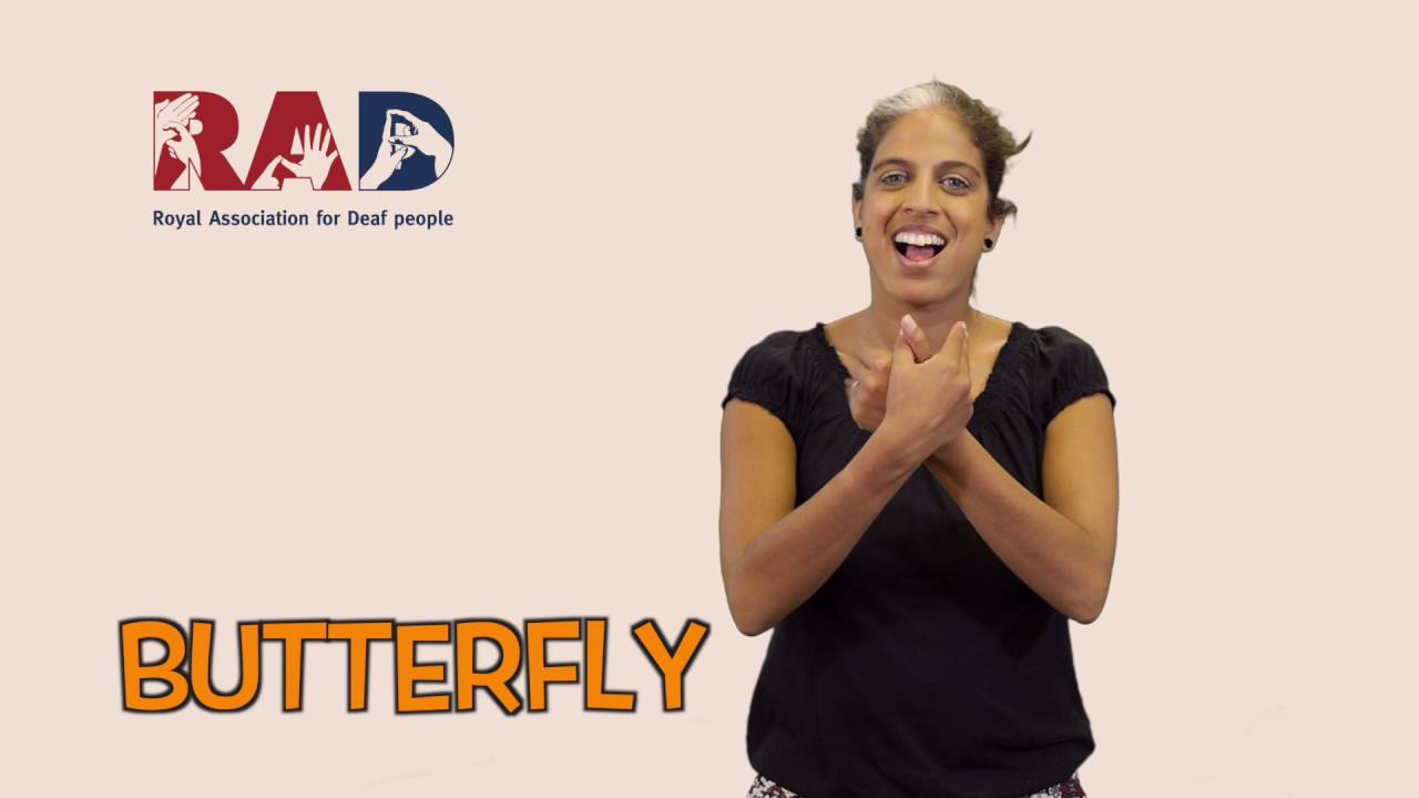 How to sign 'Butterfly' in British Sign Language (BSL) - YouTube