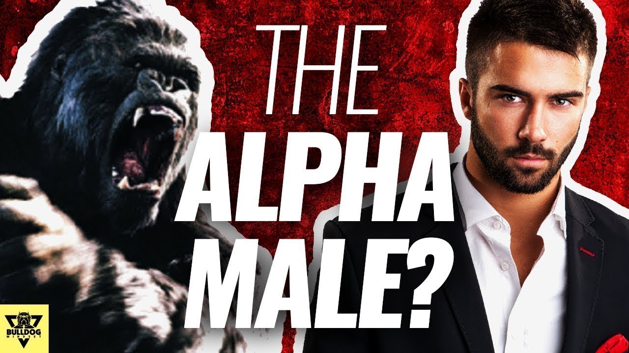 Who Are ACTUAL Alpha Males And How To Be One? - YouTube