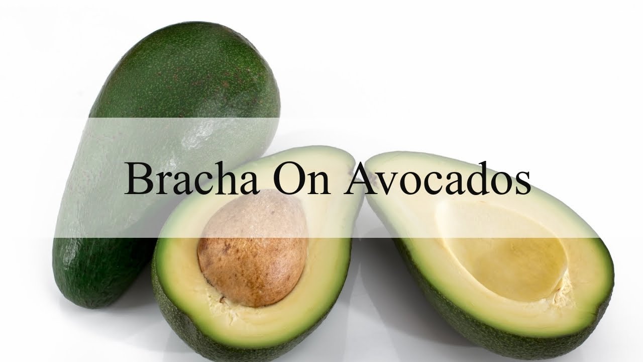 What Bracha Should One Make on Avocados? - YouTube