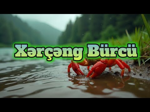 XƏRÇƏNG BÜRCÜ. Həftəlik bürc proqnozu (15-21 SENTYABR) #yengeçburcu