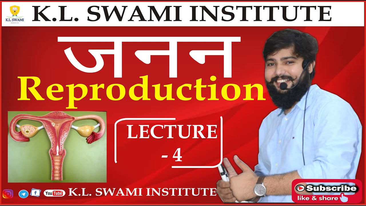 REPRODUCTION LECTURE 04| FEMALE REPRODUCTIVE SYSTEM | Science By K.L ...