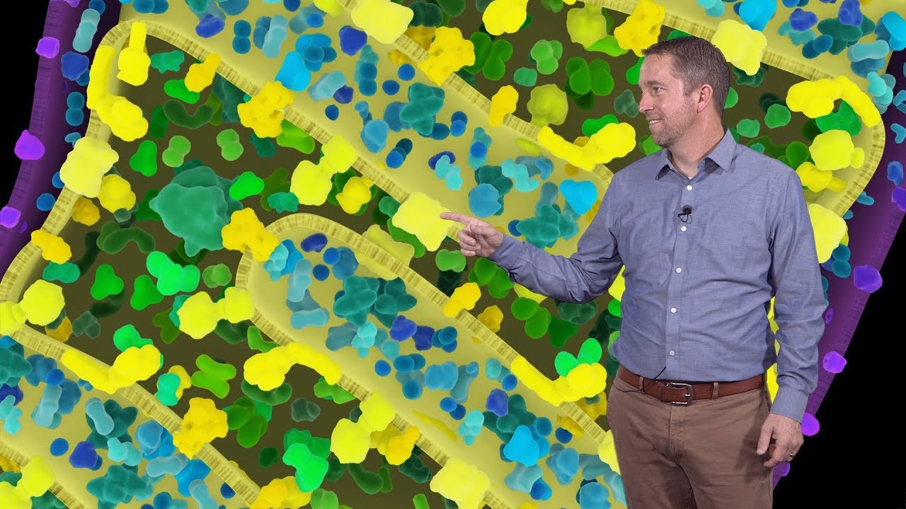 Jared Rutter (U. Utah, HHMI) 2: Mitochondrial Metabolism and Cell ...