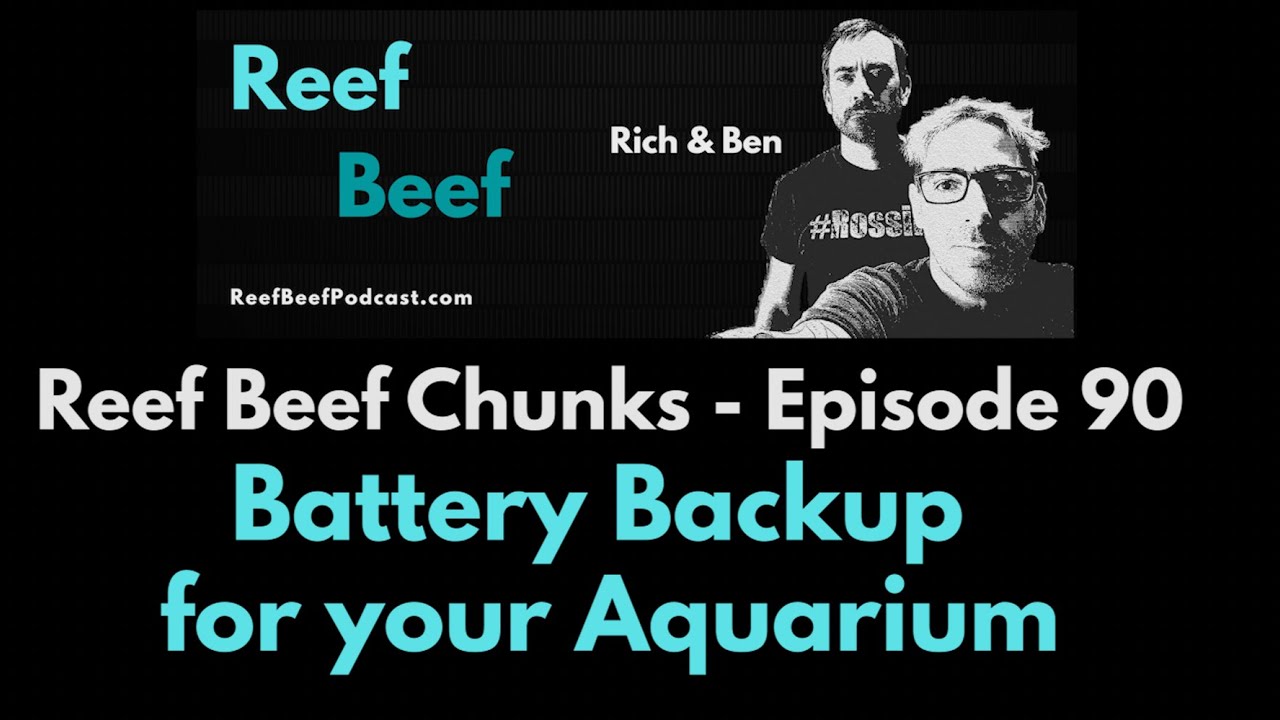Chunks – Reef Beef Podcast