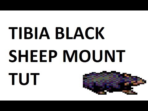 Tibia - Black Sheep (Mount) http://tibiabotwt.blogspot.com/ - YouTube